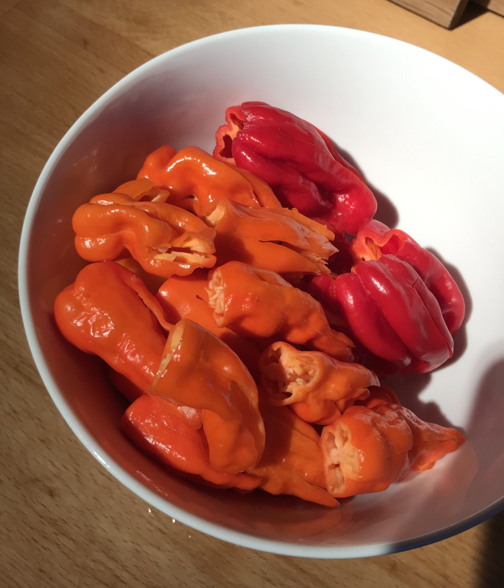 Ghost pepper (or Naga Jolokia) hot sauce - Ferment Lab: Fermenthings ...